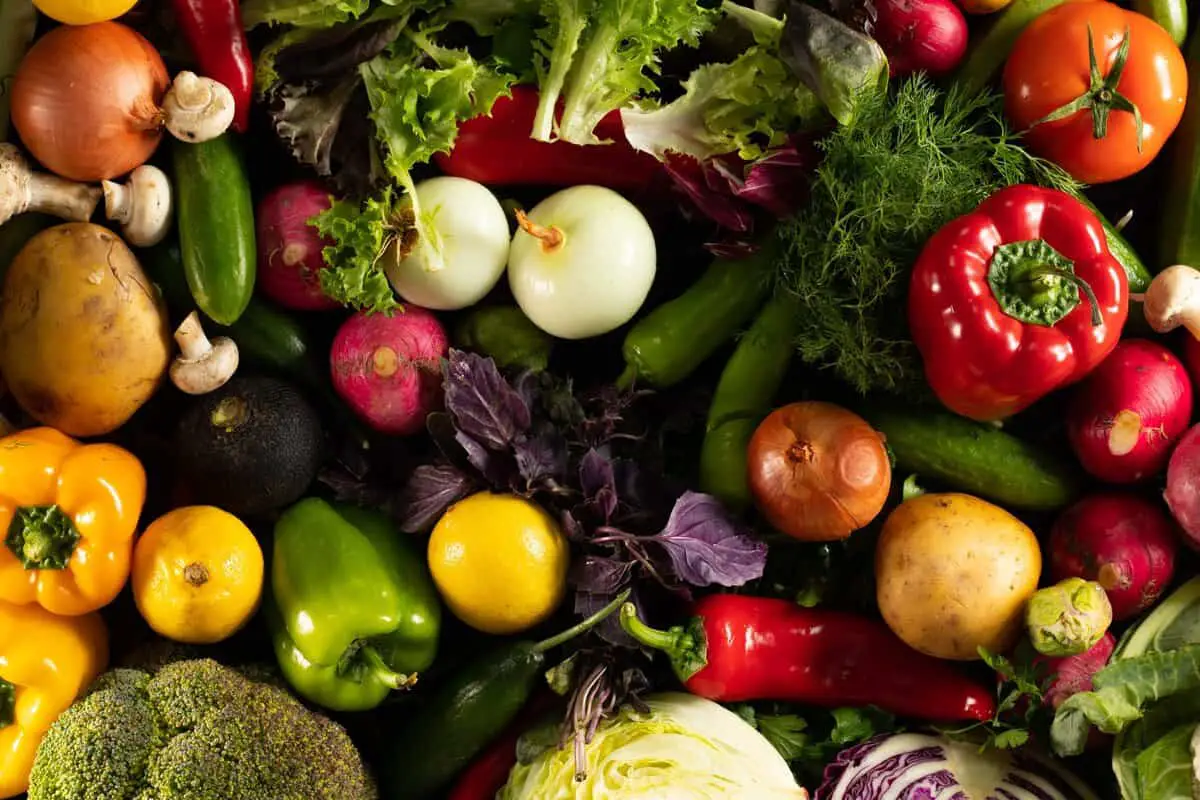 18 Safe Vegetables For Poodles: 2026 Complete Guide